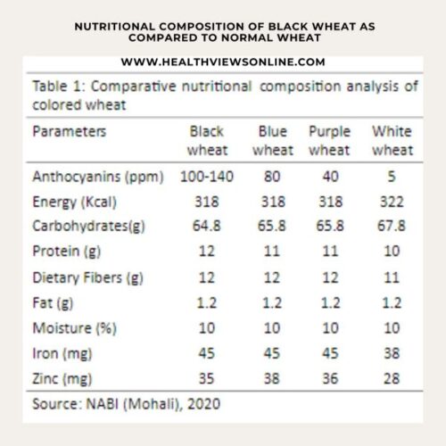 Know about Black Wheat and it's Health Benefits for Better Health
