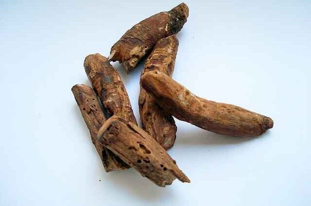 Complete Guide on Revand Chini: Nutrition, Health Benefits, Uses